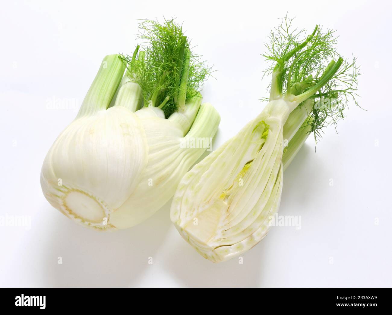 Fresh fennel, whole and halved on a white background Stock Photo - Alamy