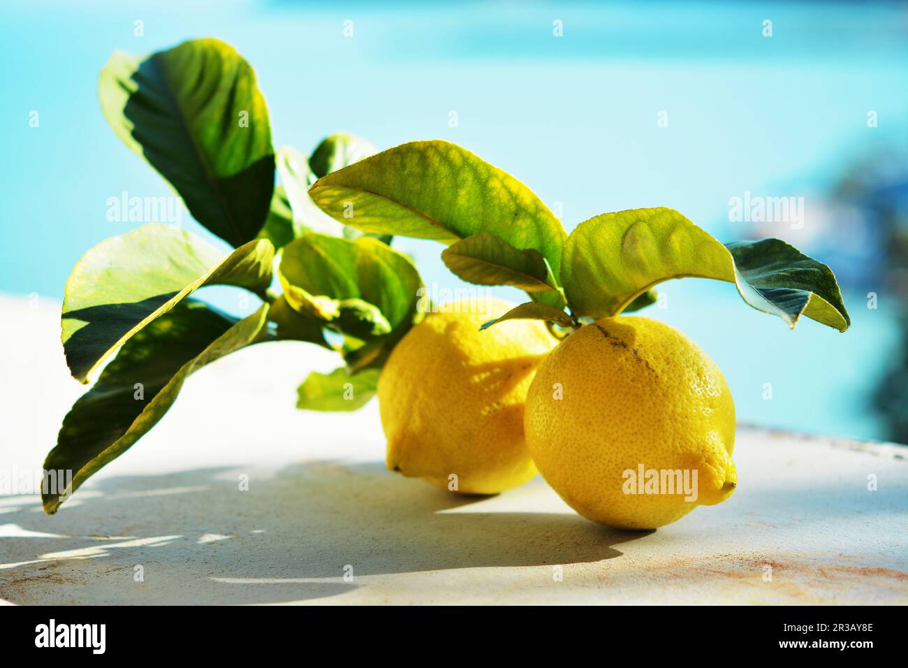 Dining outside in sunlight hi-res stock photography and images - Alamy