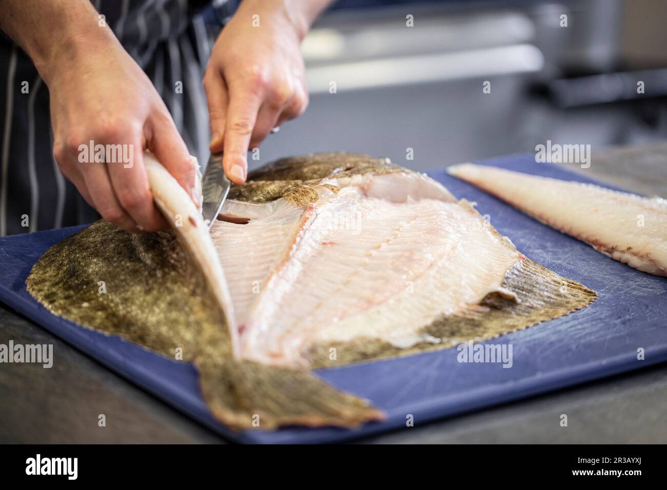 Segmented fish hi-res stock photography and images - Alamy