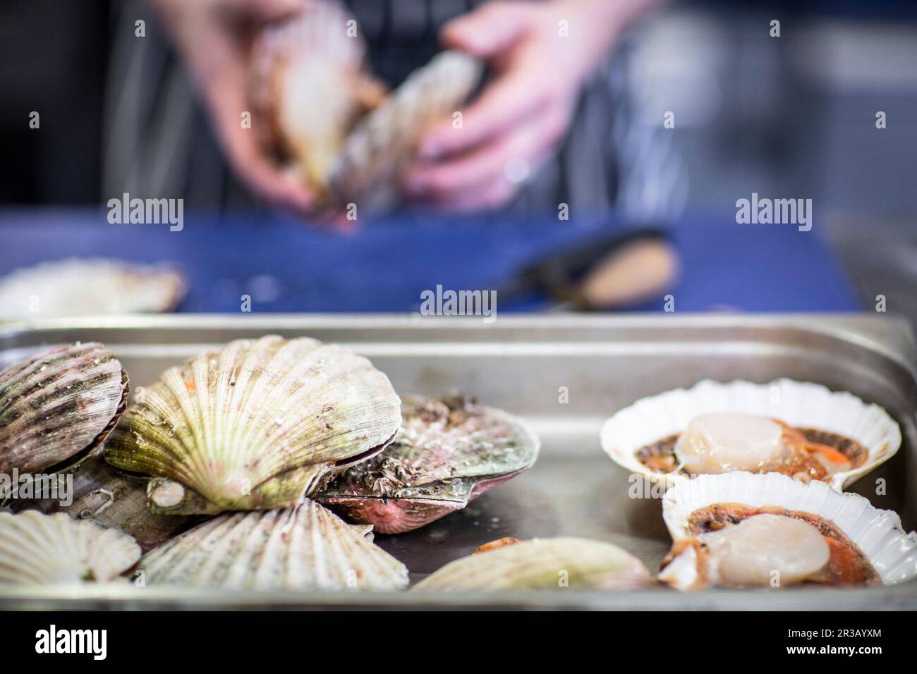 Scallop flesh hi-res stock photography and images - Alamy
