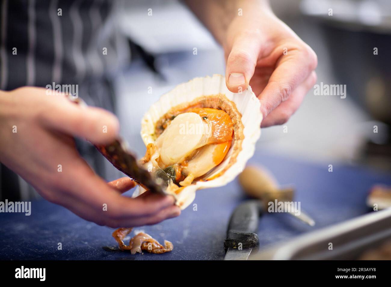 Breaking open shellfish hi-res stock photography and images - Alamy
