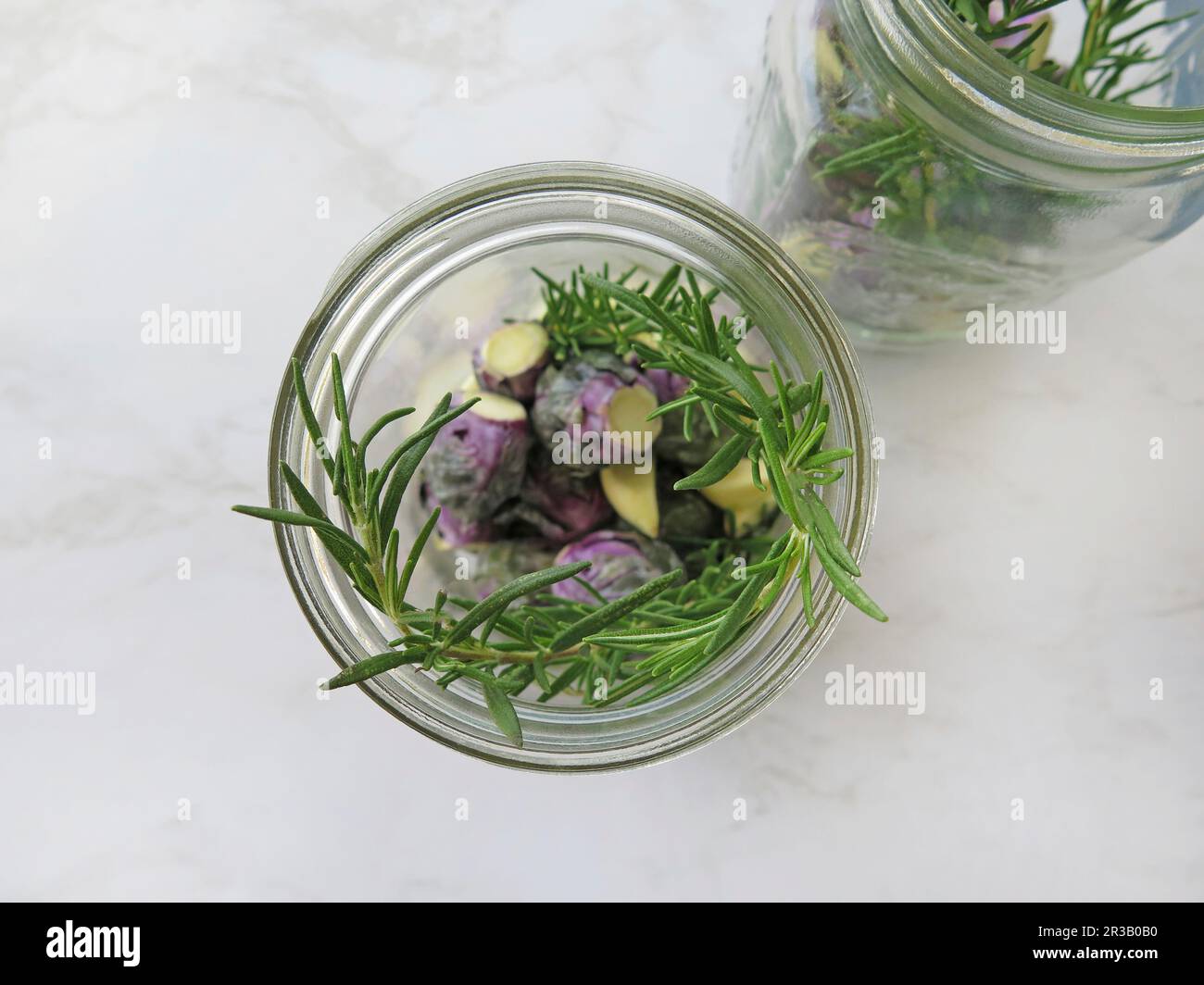 Purple Brussels sprouts in two jars to be pickled with rosemary Stock ...