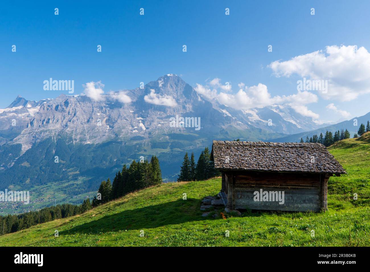 The view of the Grindelwald Valley from the top of First. With the ...