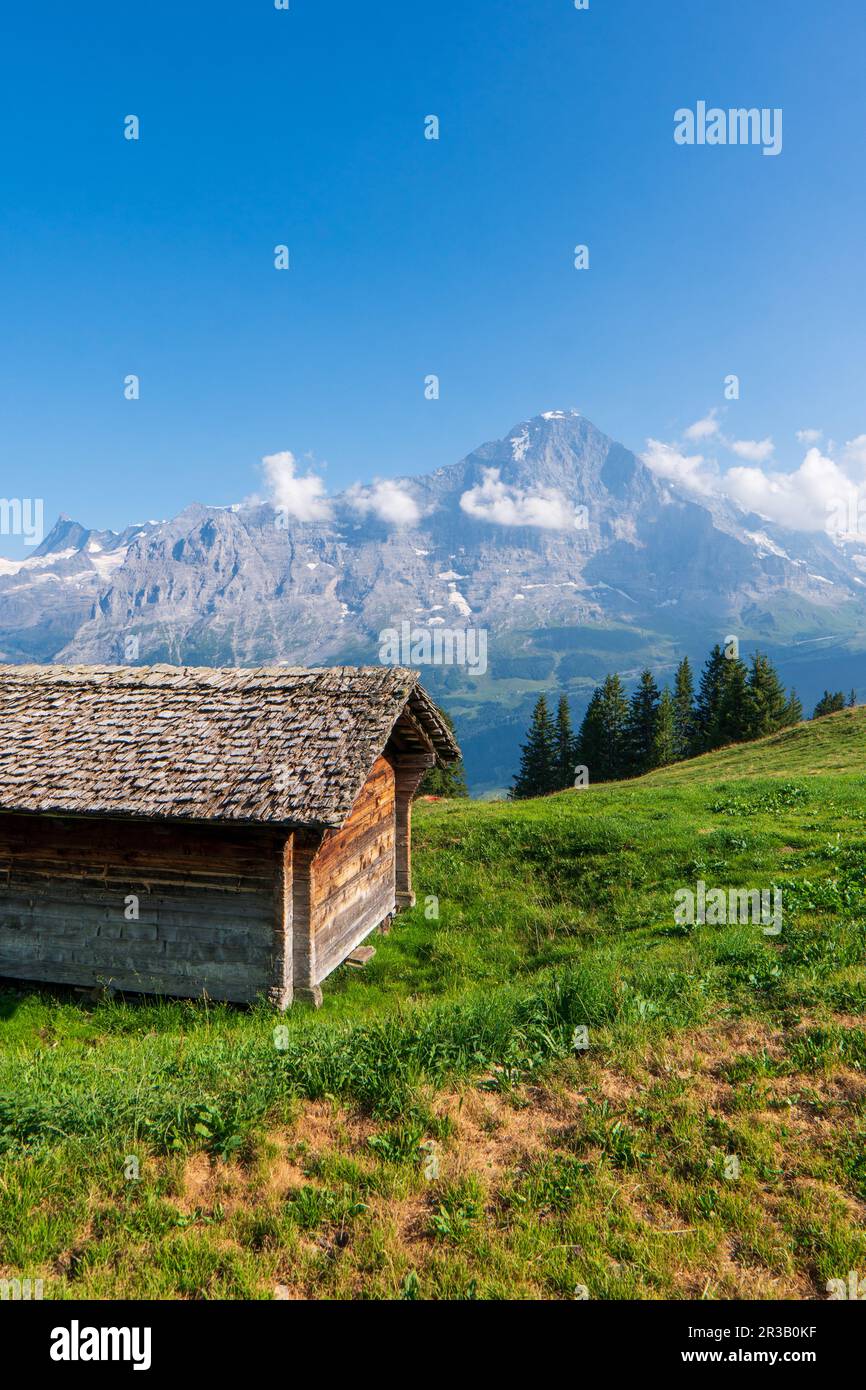 The view of the Grindelwald Valley from the top of First. With the ...