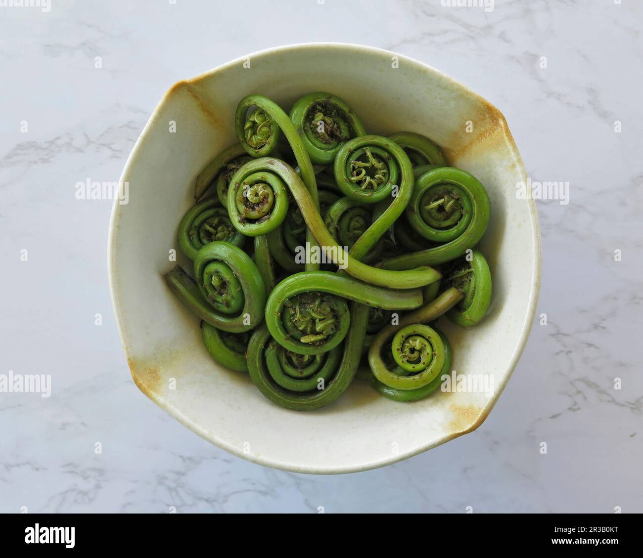 Ferns from above hi-res stock photography and images - Alamy