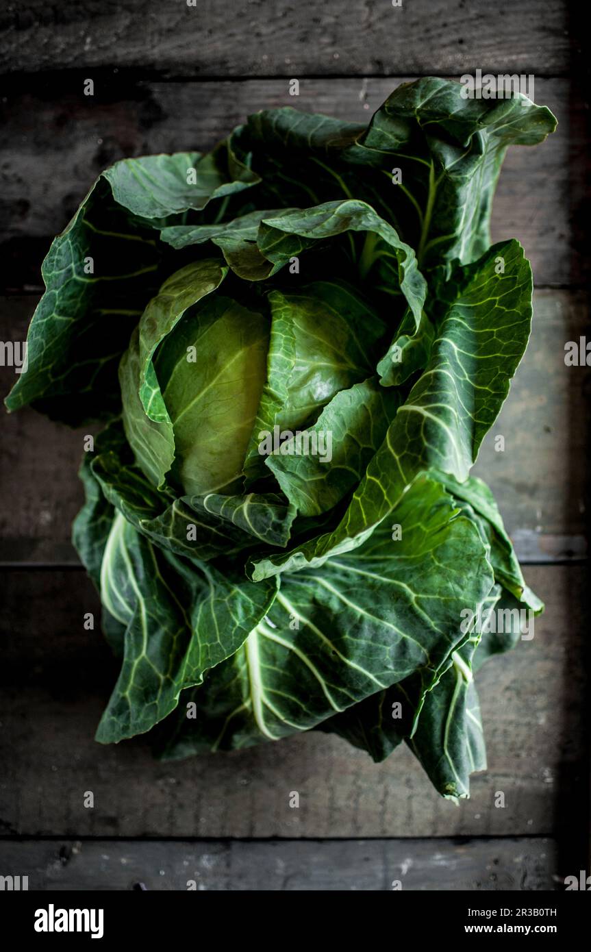 Raw young cabbage Stock Photo - Alamy