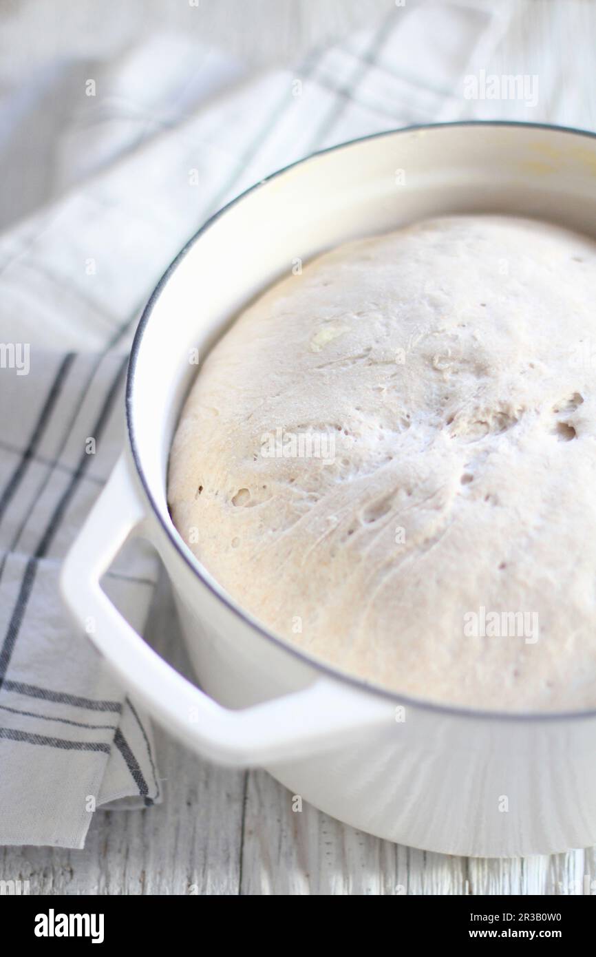 Bread dough in an enamel pot Stock Photo - Alamy