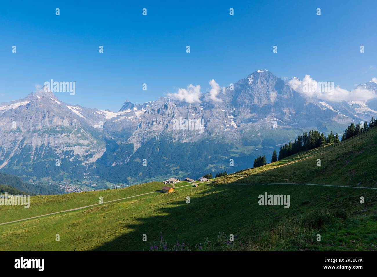 The view of the Grindelwald Valley from the top of First. With the mountain Eiger in the ...