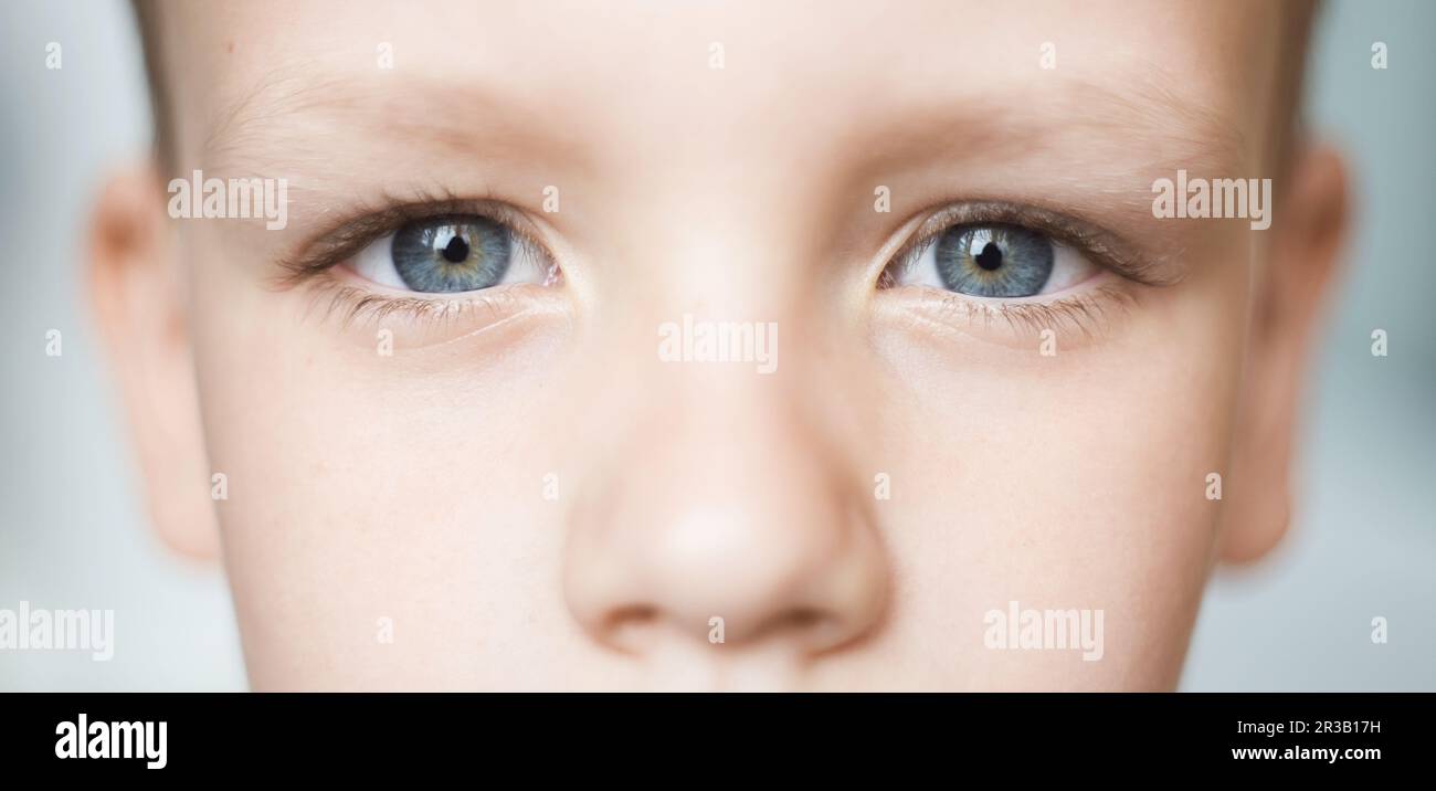 Grey Eyes Boy