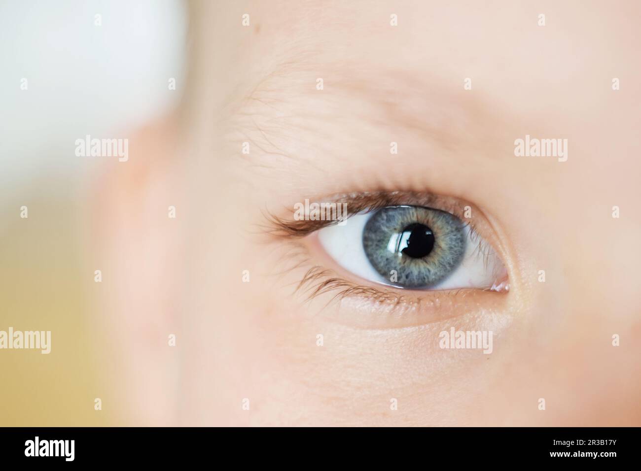 Closeup of a human eye hi-res stock photography and images - Alamy