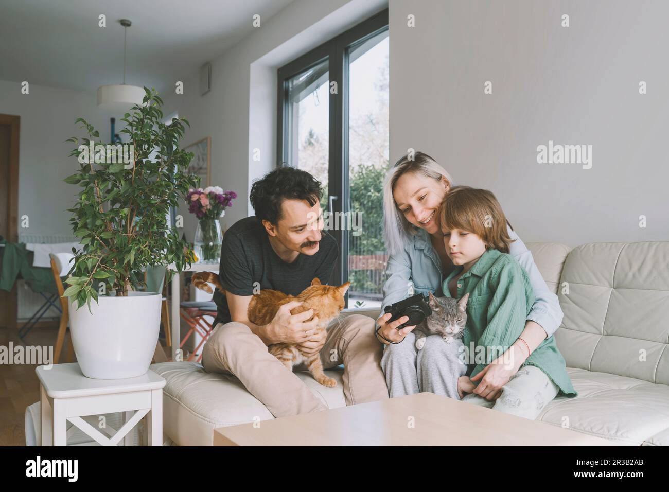 Happy family with cats looking at camera Stock Photo - Alamy