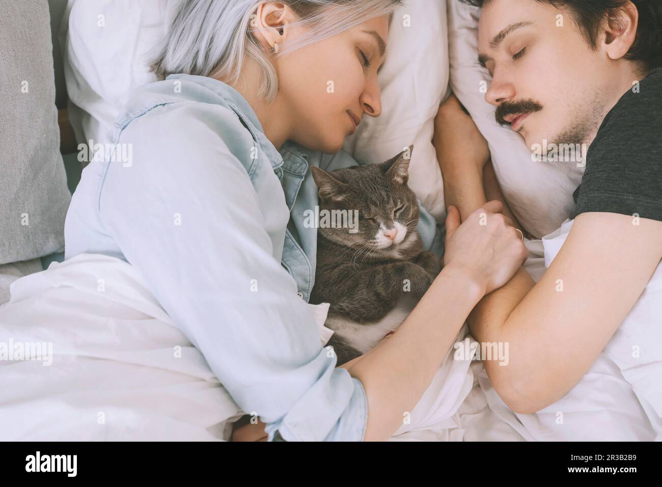Couple cat hi-res stock photography and images - Alamy