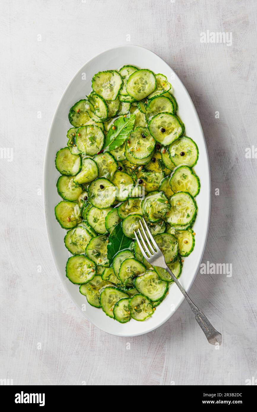 Quick sweet vinegar pickle sliced cucumber salad with dill, peppercorn ...