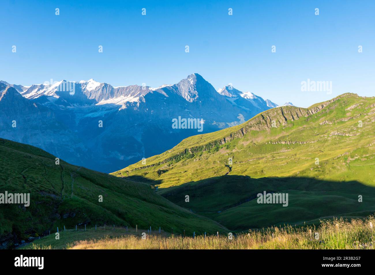 Traditional Swiss Electric Train from Kleine Scheidegg to ...