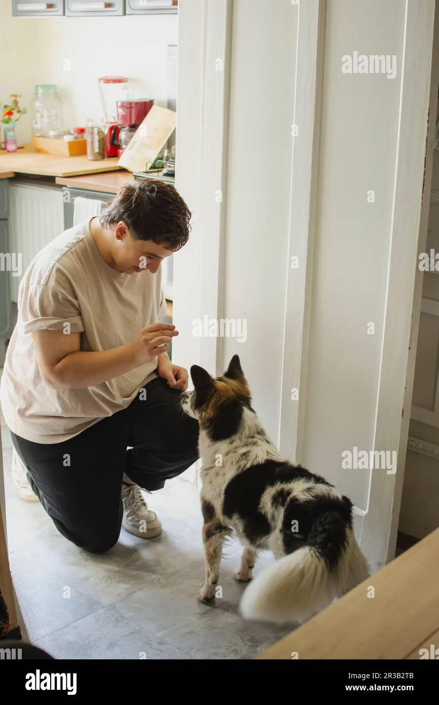 Non-binary person feeding dog in kitchen at home Stock Photo - Alamy