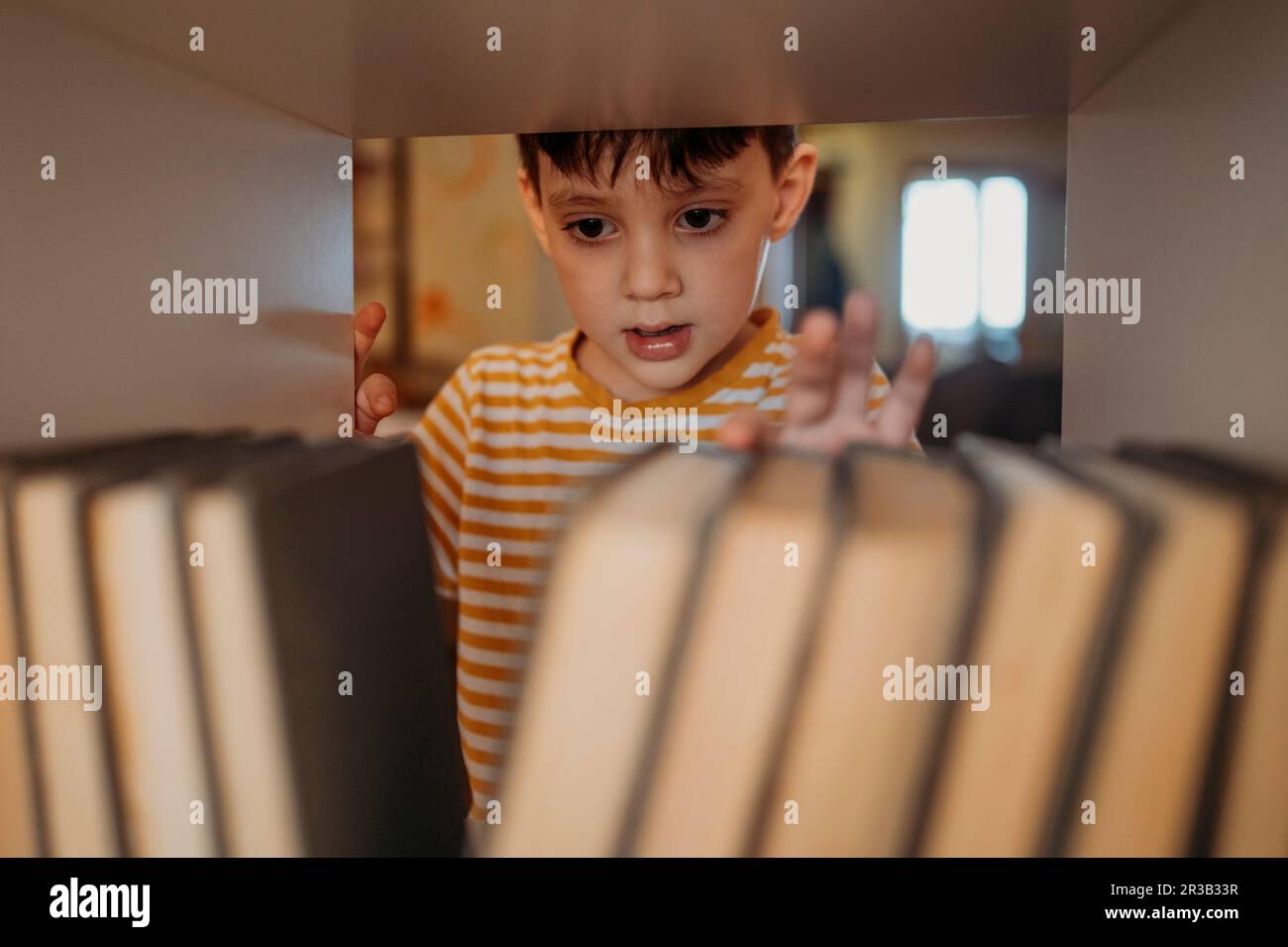 Searching for knowledge hi-res stock photography and images - Alamy