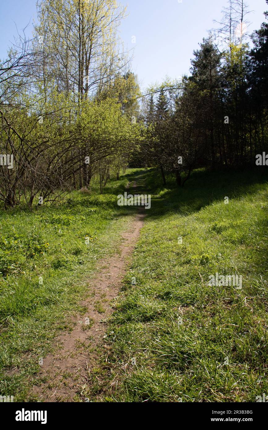 Narrow path through the grass hi-res stock photography and images - Alamy