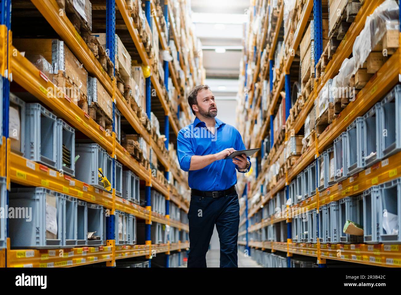 Mature businessman taking inventory in factory warehouse Stock Photo ...