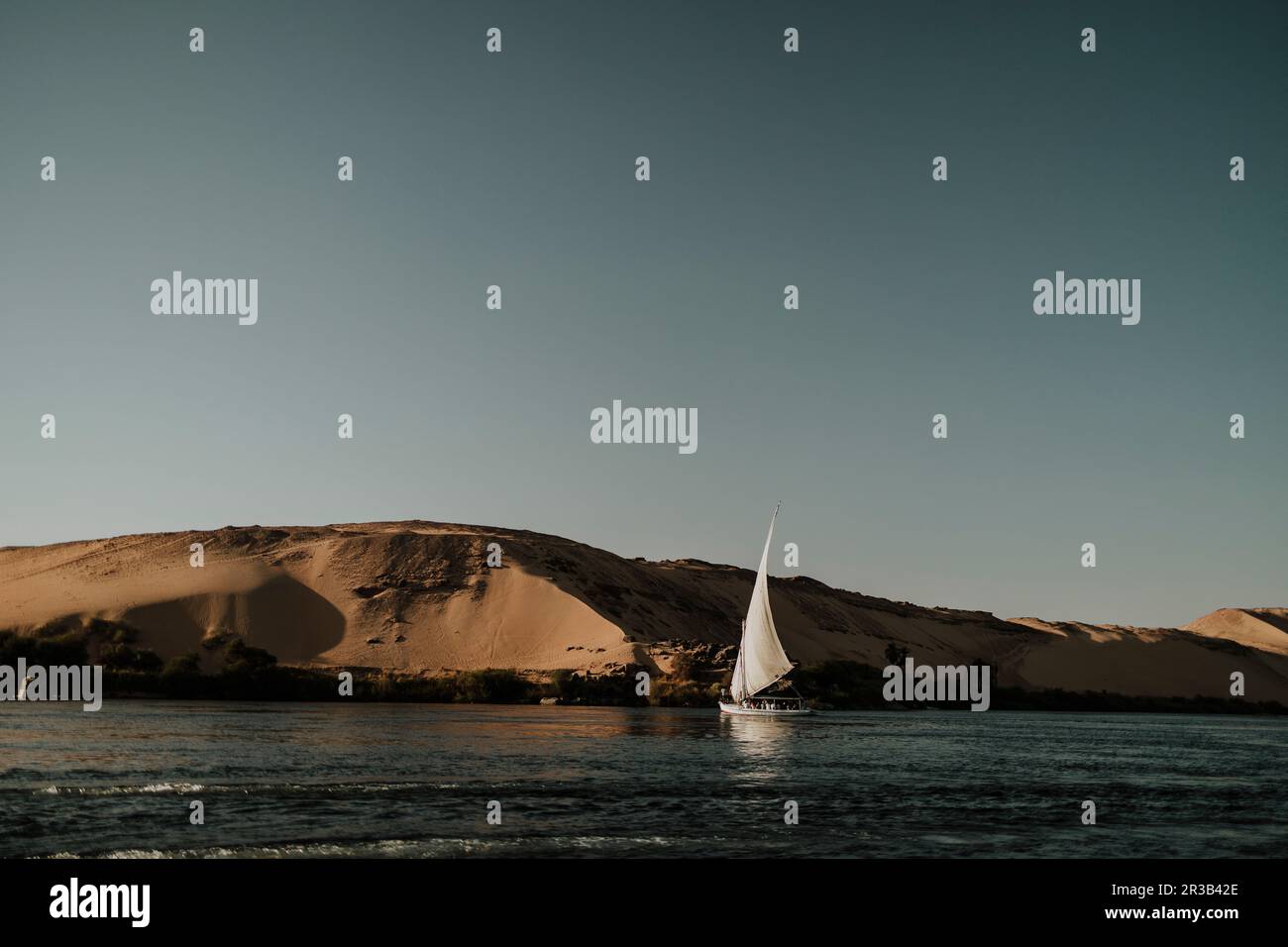 Felucca boat sailing on Nile river at sunset Stock Photo - Alamy