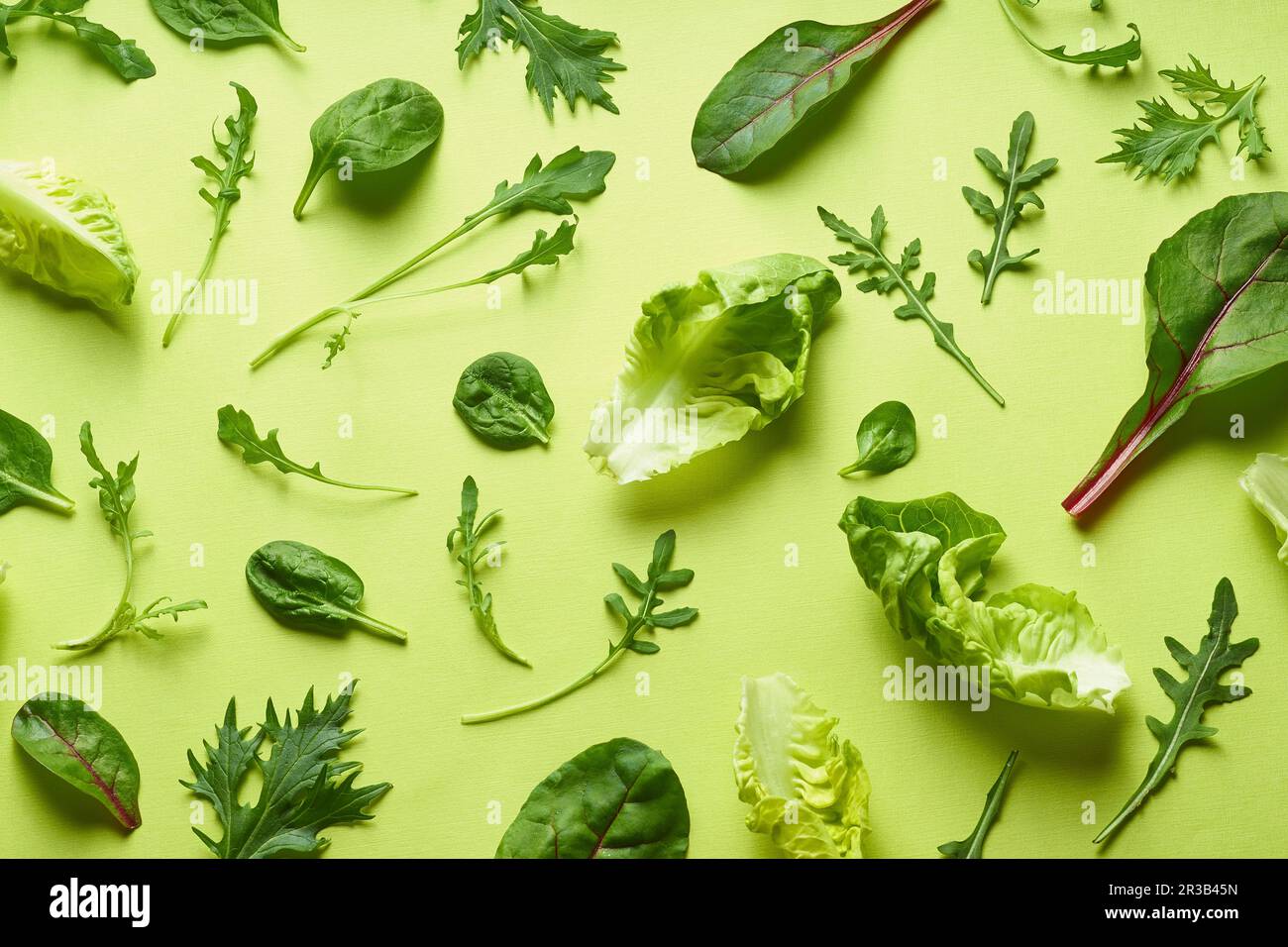 Mizuna spinach hi-res stock photography and images - Alamy