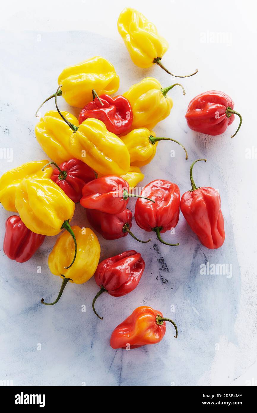 Plan view peppers hi-res stock photography and images - Alamy