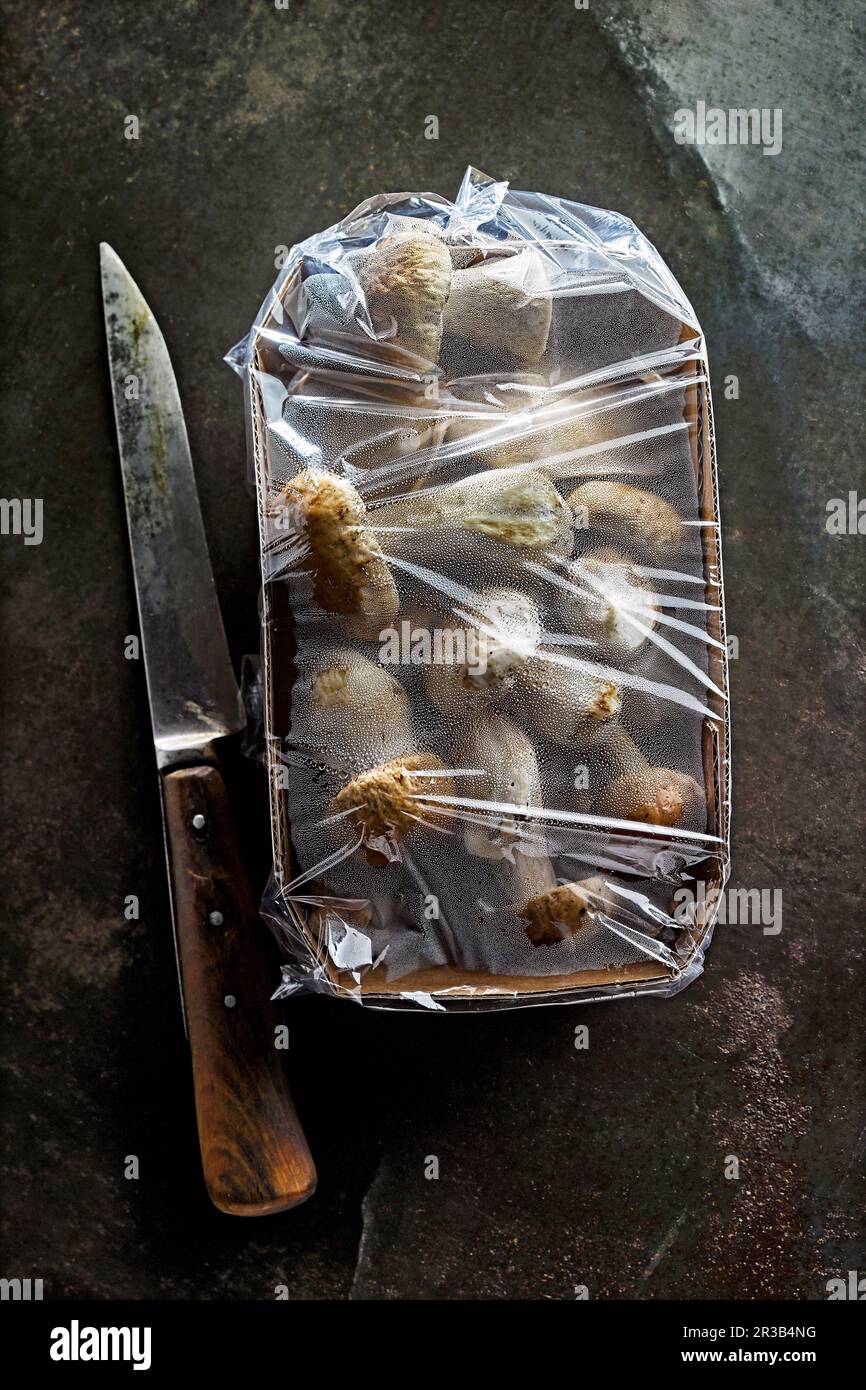 Packaged mushrooms hi-res stock photography and images - Alamy