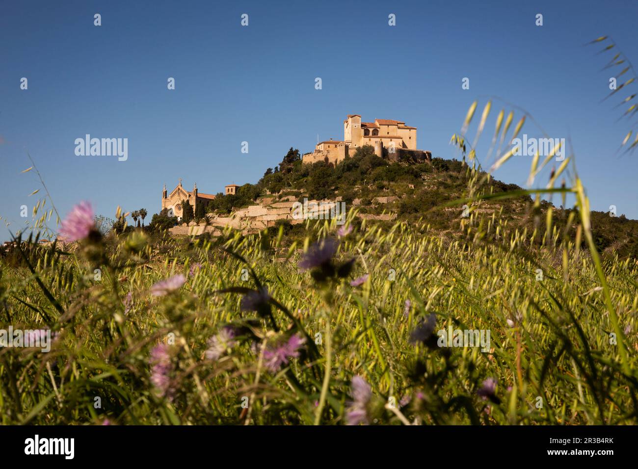 Almudaina darta fort wildflowers foreground hi-res stock photography ...