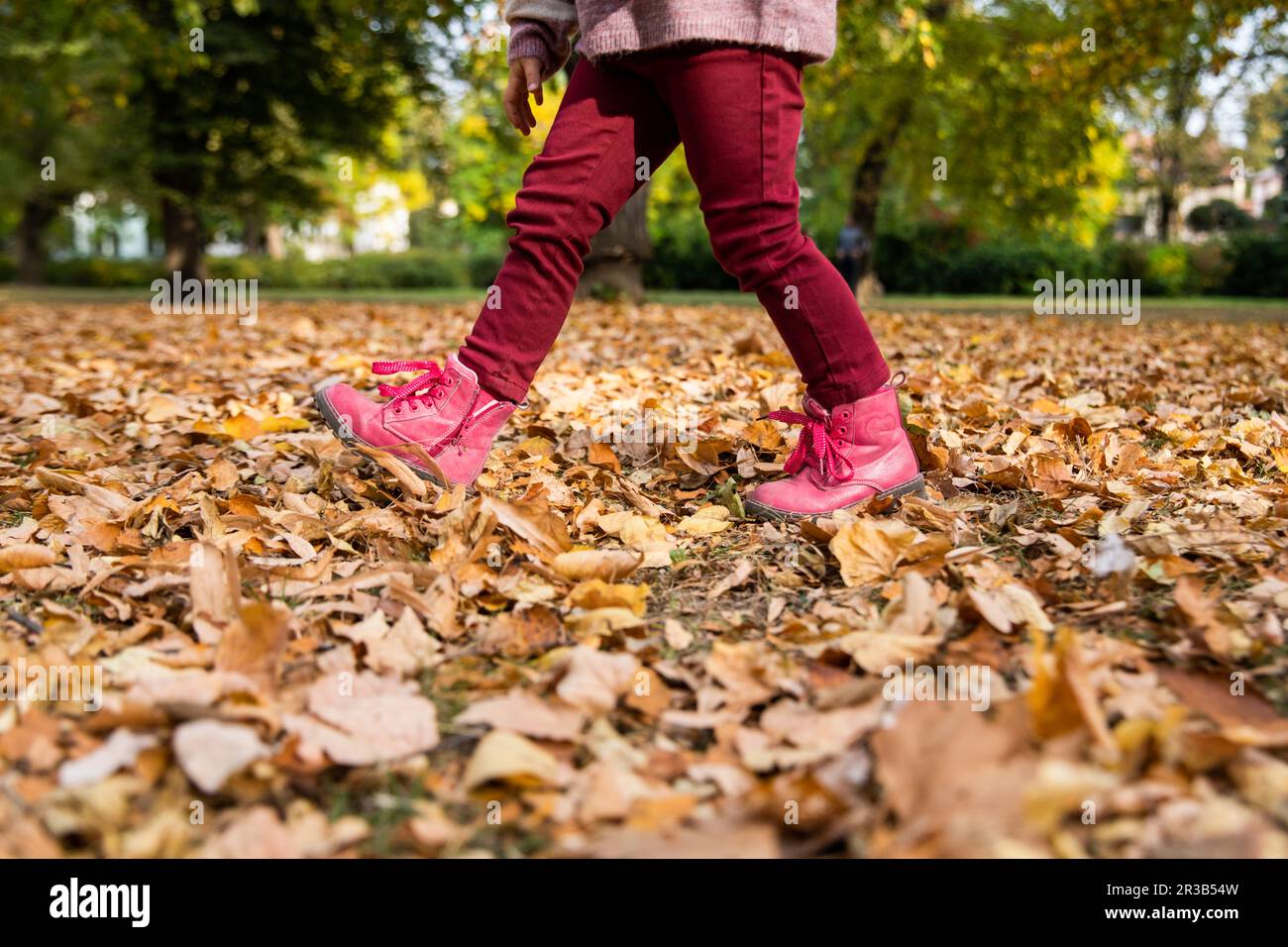 Dry leaves falling on autumn hi-res stock photography and images - Alamy