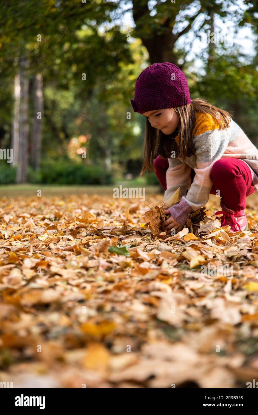 Girl picking up dry autumn leaves at park Stock Photo - Alamy