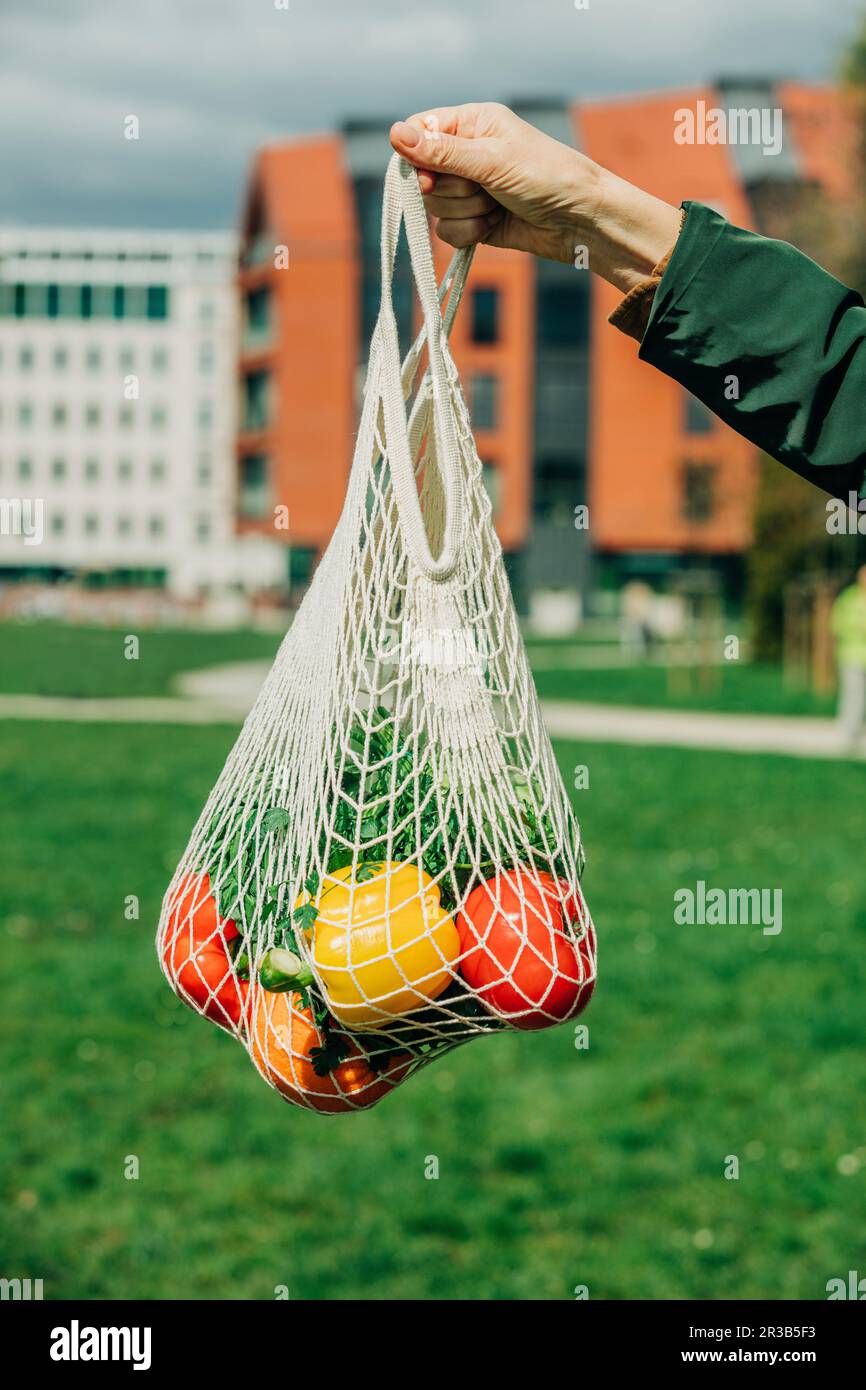 Vegetables in hand hi-res stock photography and images - Alamy