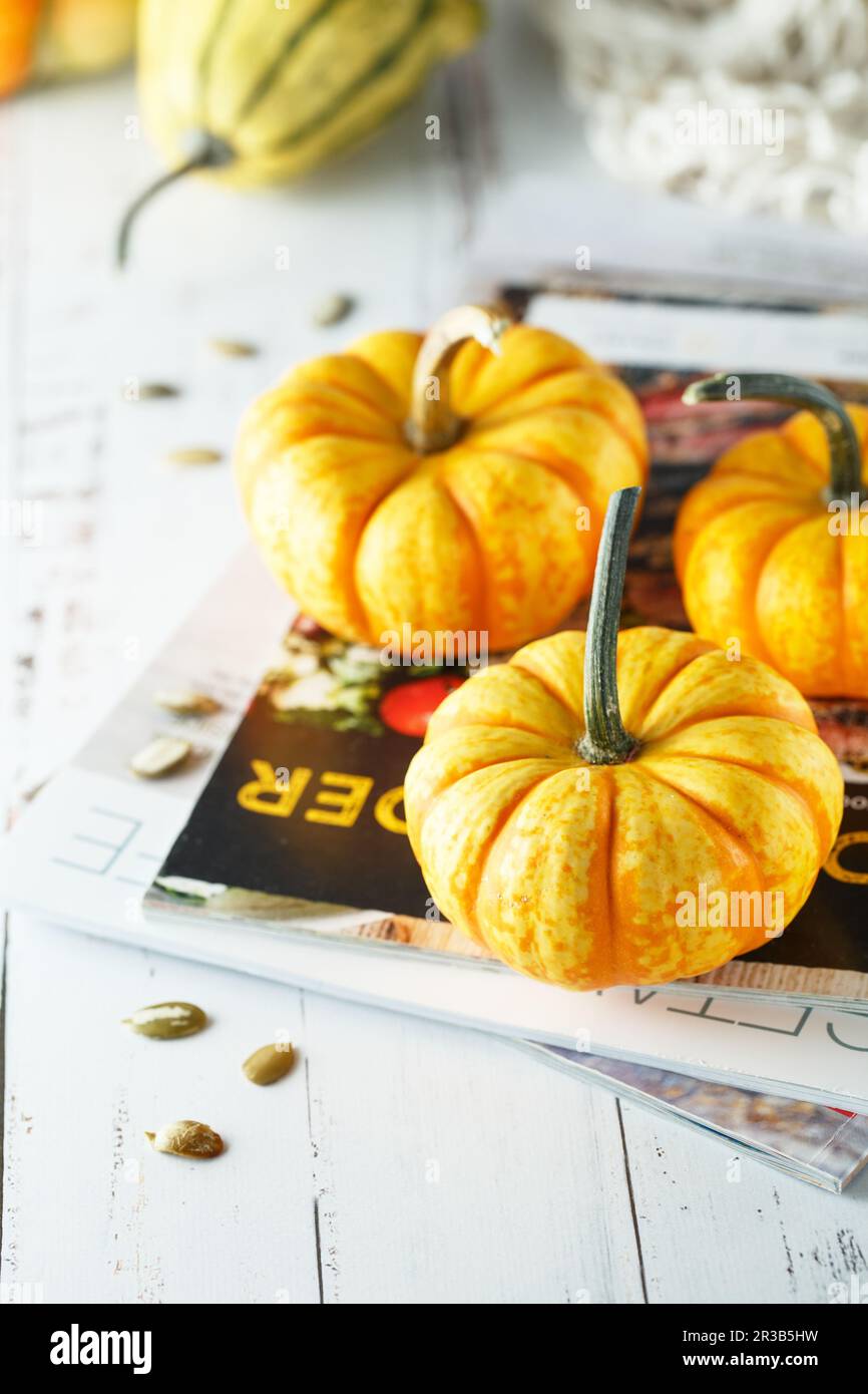 Still life composition with colorful decorative mini pumpkins and ...