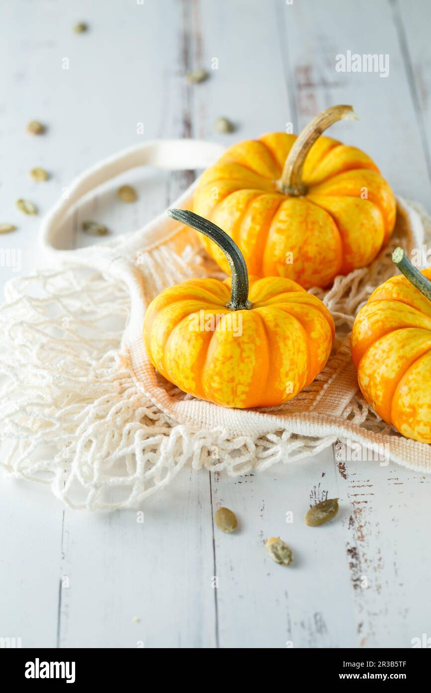 Still life composition with colorful decorative mini pumpkins and ...