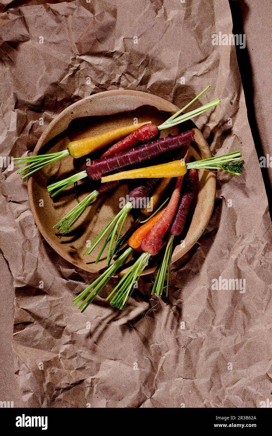 Old carrot variety hi-res stock photography and images - Alamy