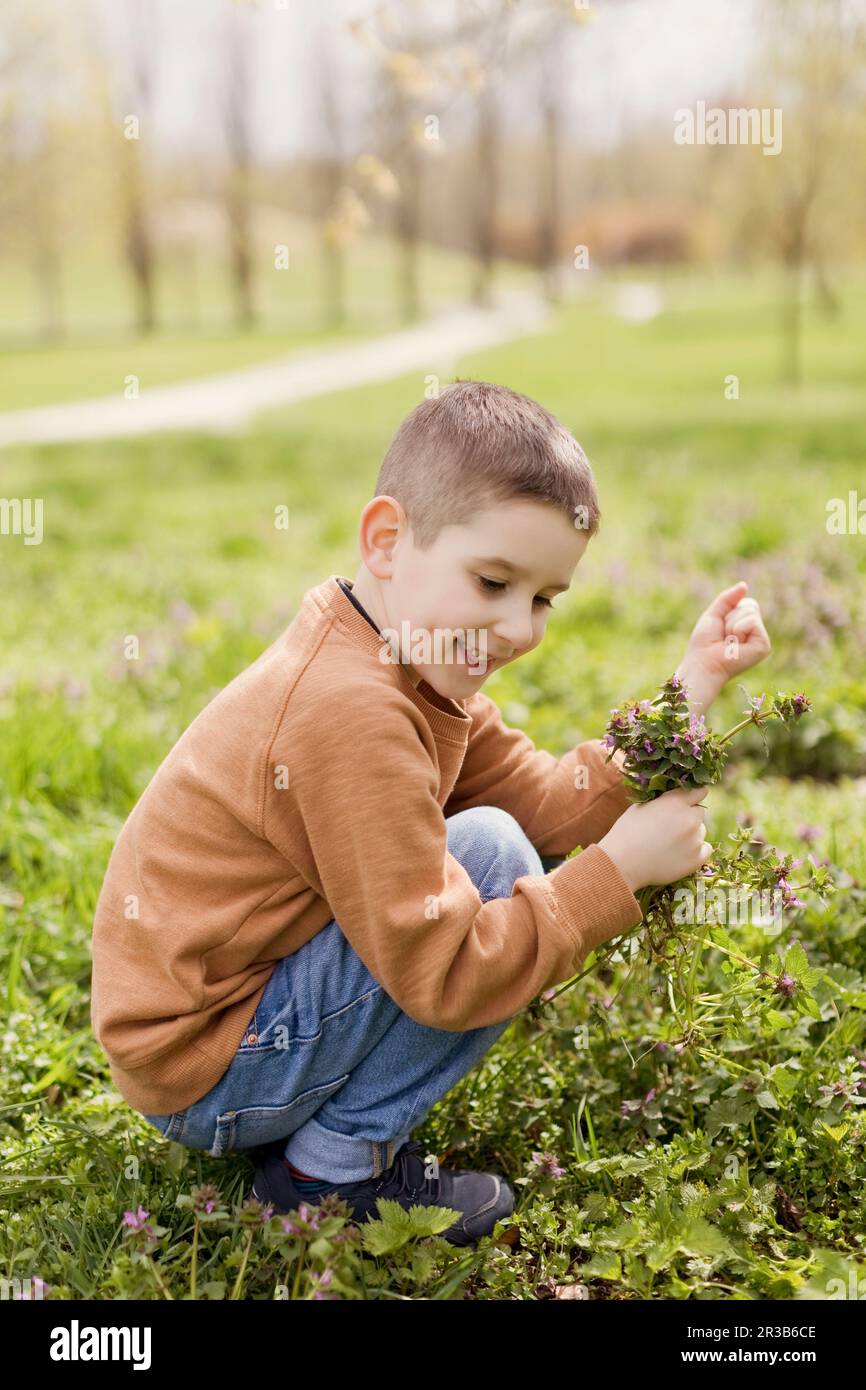 Boy holding flowers hi-res stock photography and images - Alamy