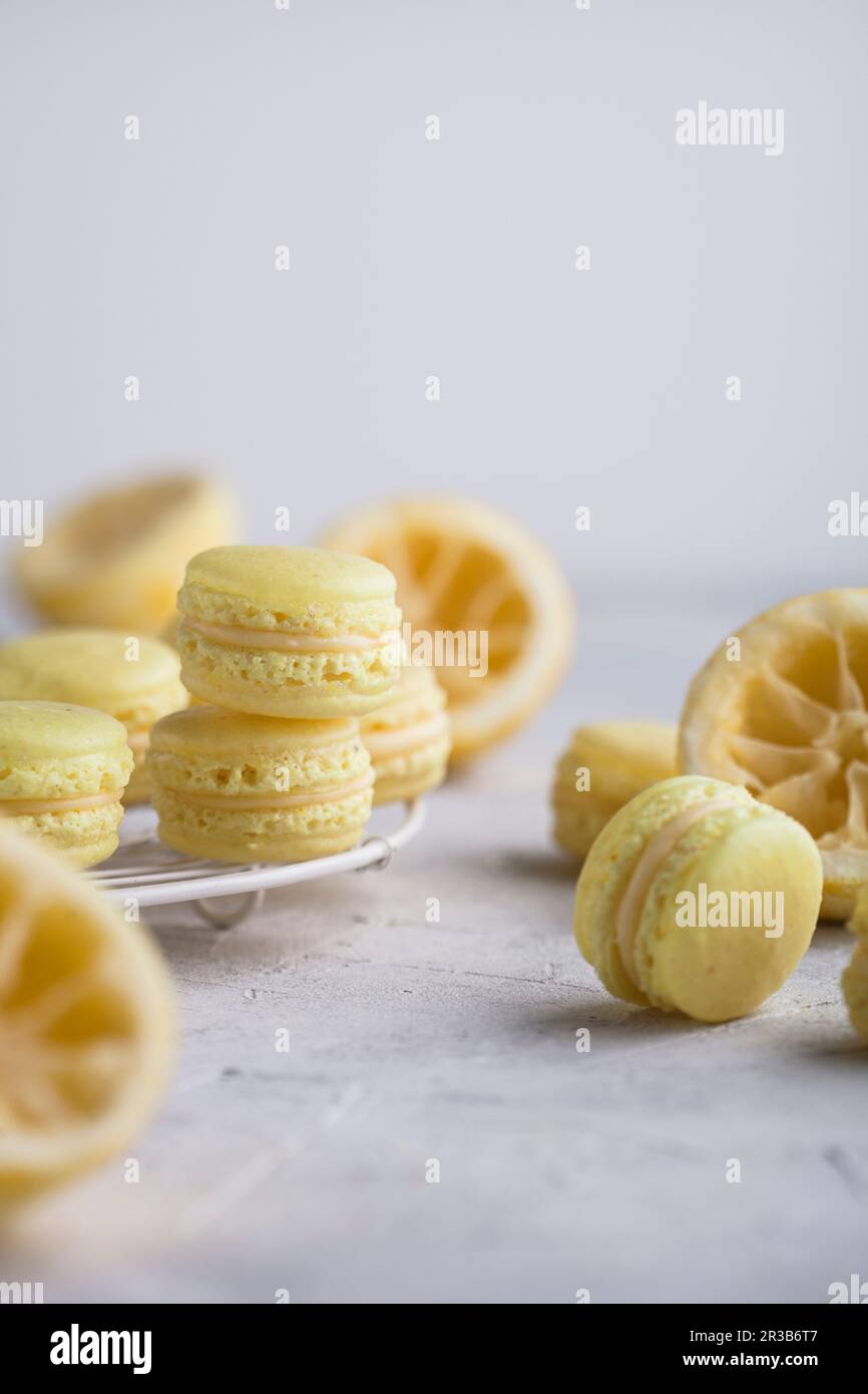 Grid of lemons hi-res stock photography and images - Alamy