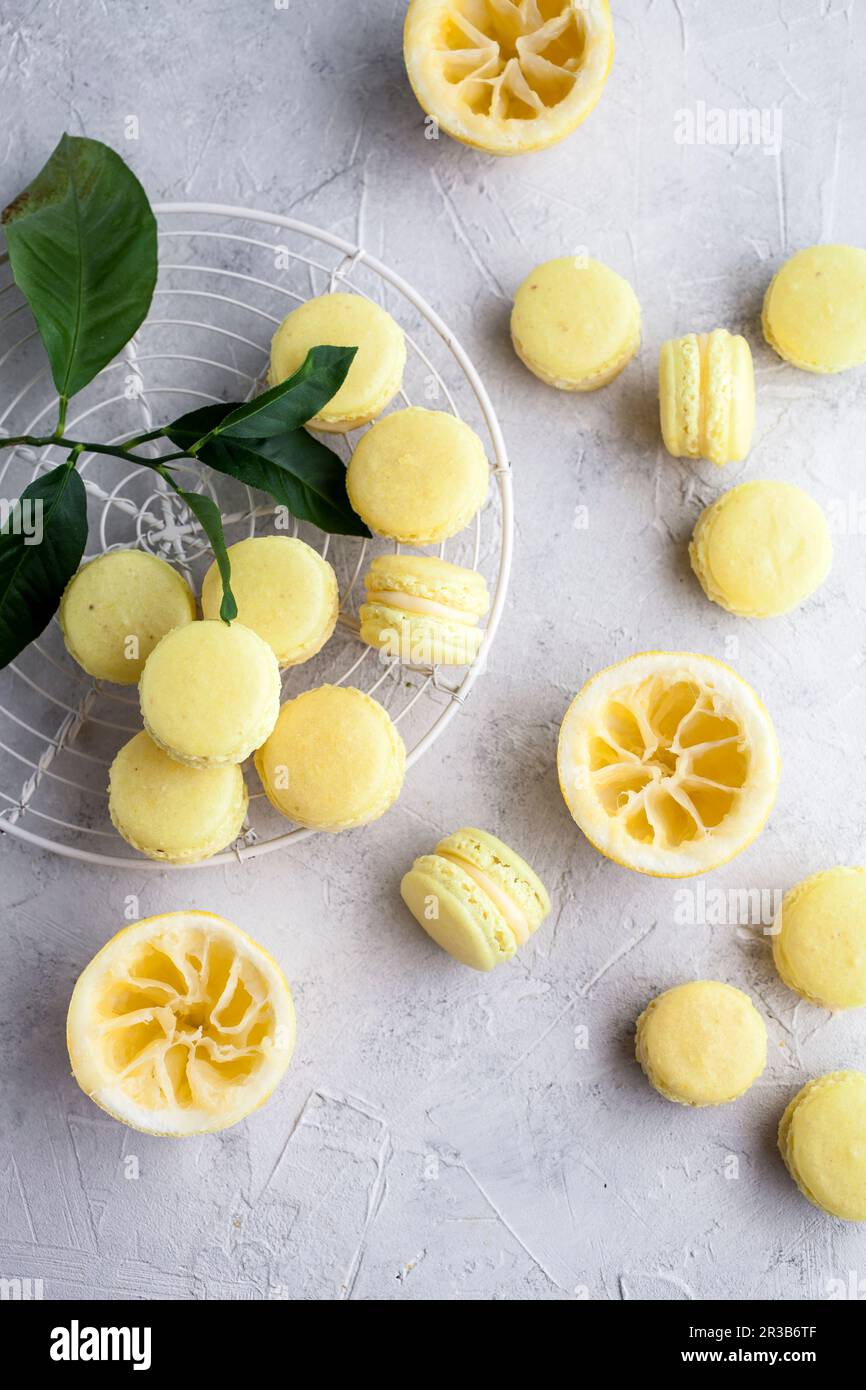 Grid of lemons hi-res stock photography and images - Alamy