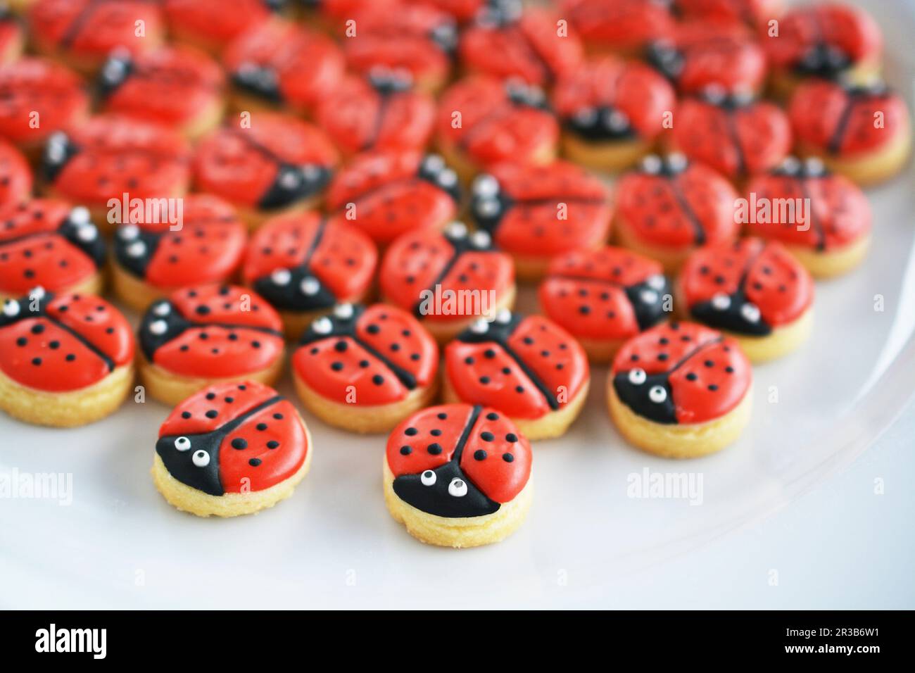 Lots of little ladybird motif cookies Stock Photo - Alamy