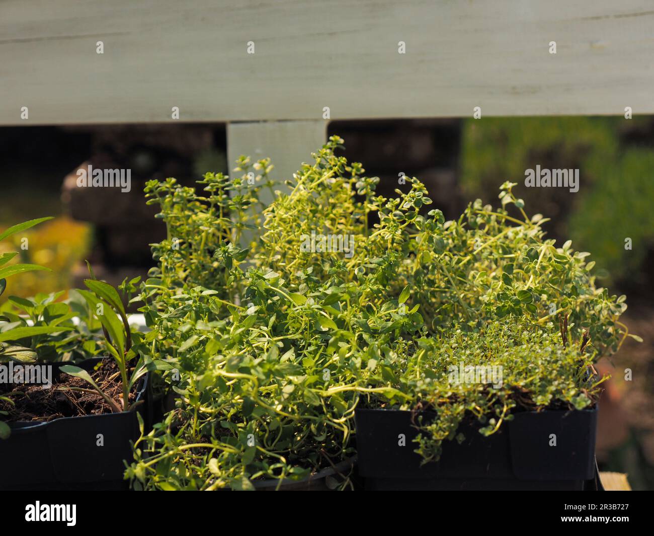 Conserving resources hi-res stock photography and images - Alamy