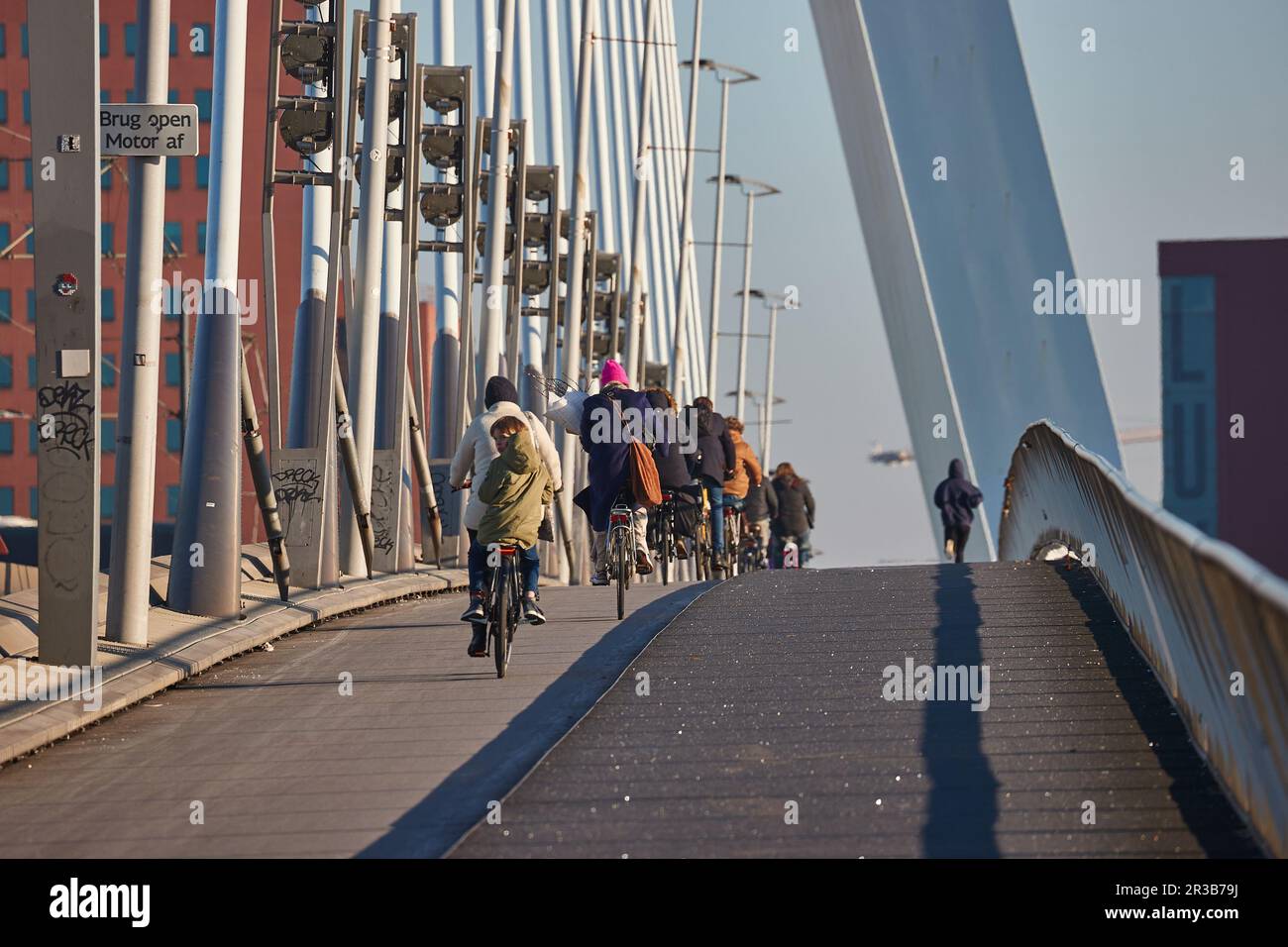 Cycling on the streets of Rotterdam Stock Photo - Alamy