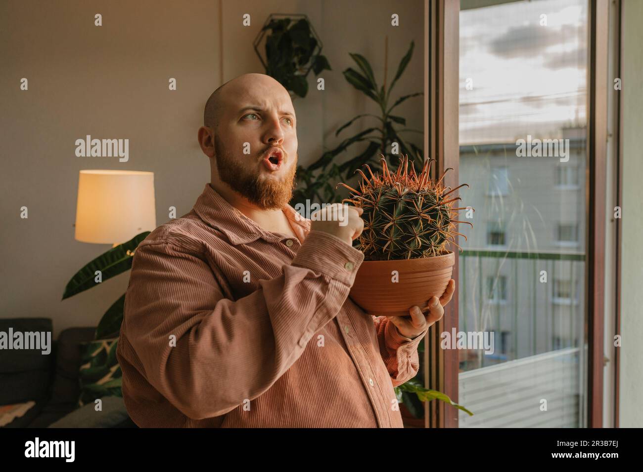 Man touching prickly cactus at home Stock Photo - Alamy