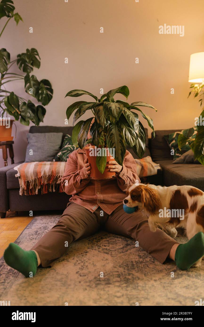 Man sitting with potted plant by dog at home Stock Photo - Alamy