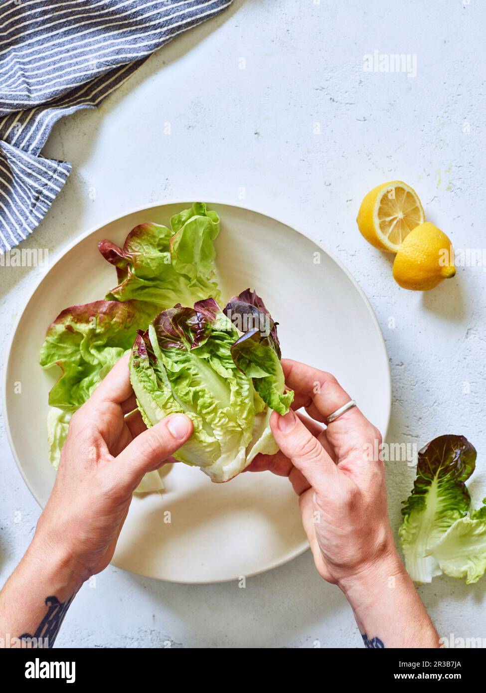 Cleaning plan hi-res stock photography and images - Alamy