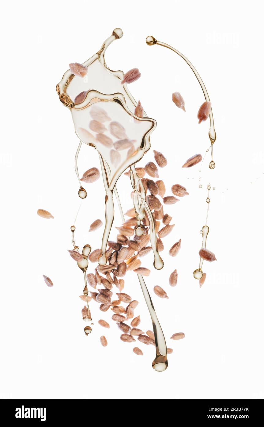 Sunflower seeds with an oil splash Stock Photo - Alamy