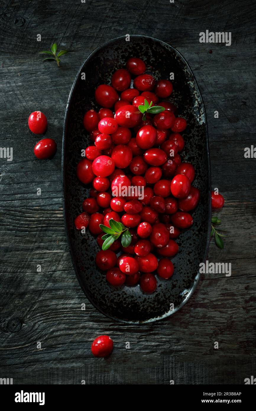 Fresh cranberries from above hi-res stock photography and images - Alamy
