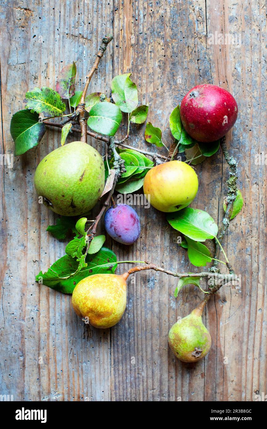 Different types of fruit from an orchard on a wooden background Stock ...