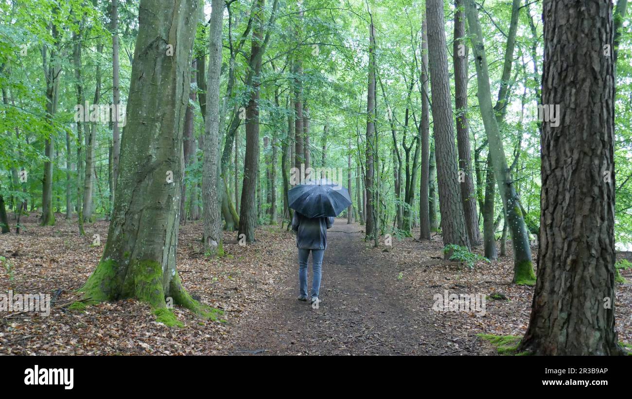 Man walking into forest hi-res stock photography and images - Alamy