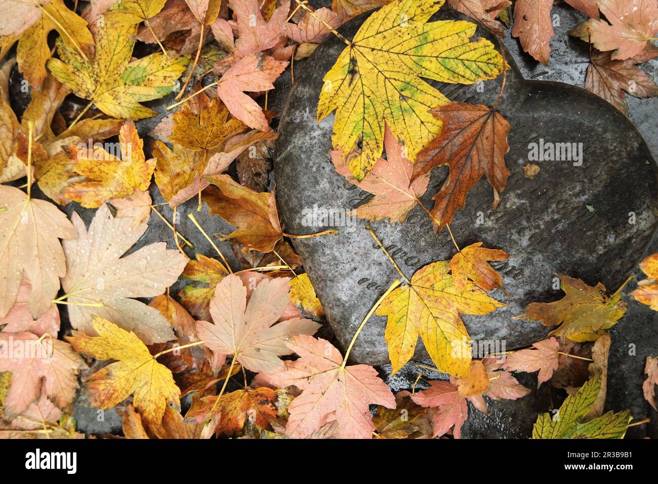 Heart under autumn leaves Stock Photo - Alamy