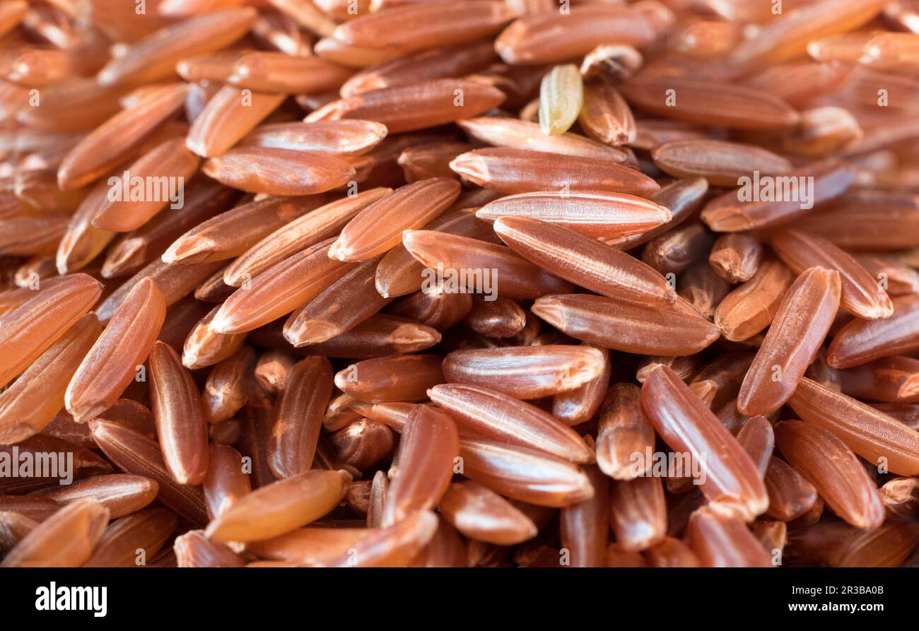 Red brown ermes rice Stock Photo - Alamy