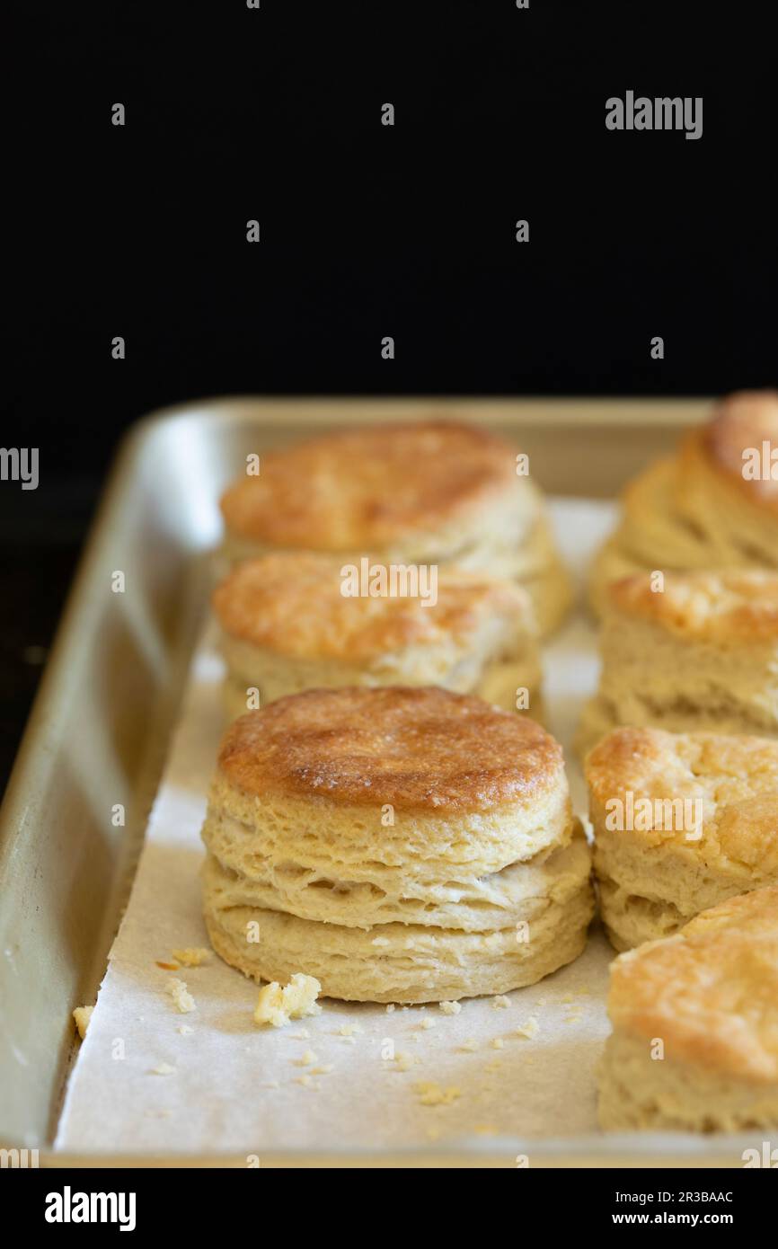 Baking pan roll parchment hi-res stock photography and images - Alamy