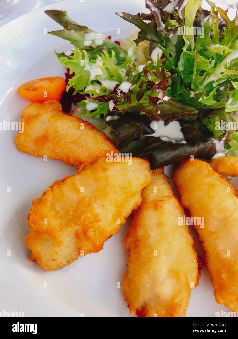 Battered fish fillet with a mixed leaf salad Stock Photo - Alamy